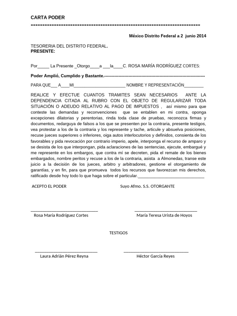 Carta Poder en Blanco | PDF
