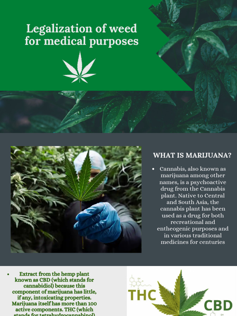 Legalization of Weed For Medical Purposes | PDF | Cannabis | Medical ...