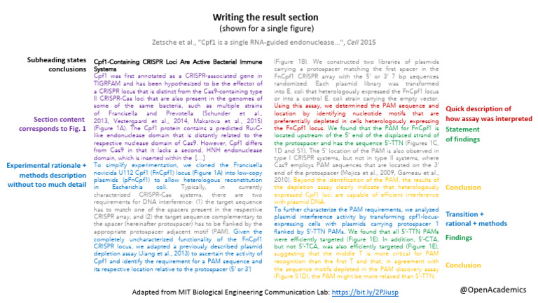 Manuscript Results Section | PDF | Crispr | Nucleic Acids