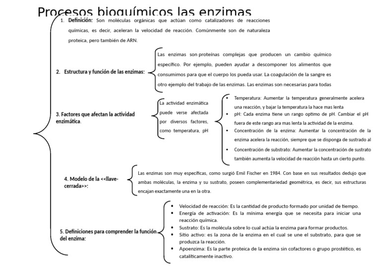 Cuadro Sinoptico 2024 Royer | PDF | Enzima | Sustrato (Química)