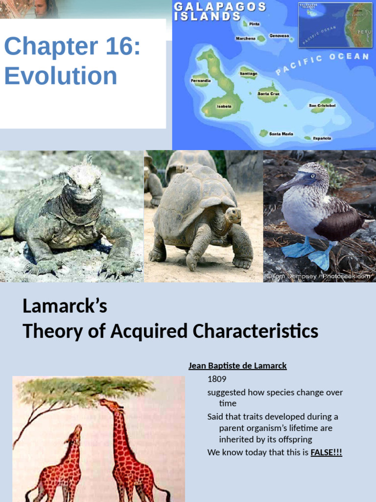 Darwin's Evolution and Natural Selection | PDF | Evolution | Natural ...