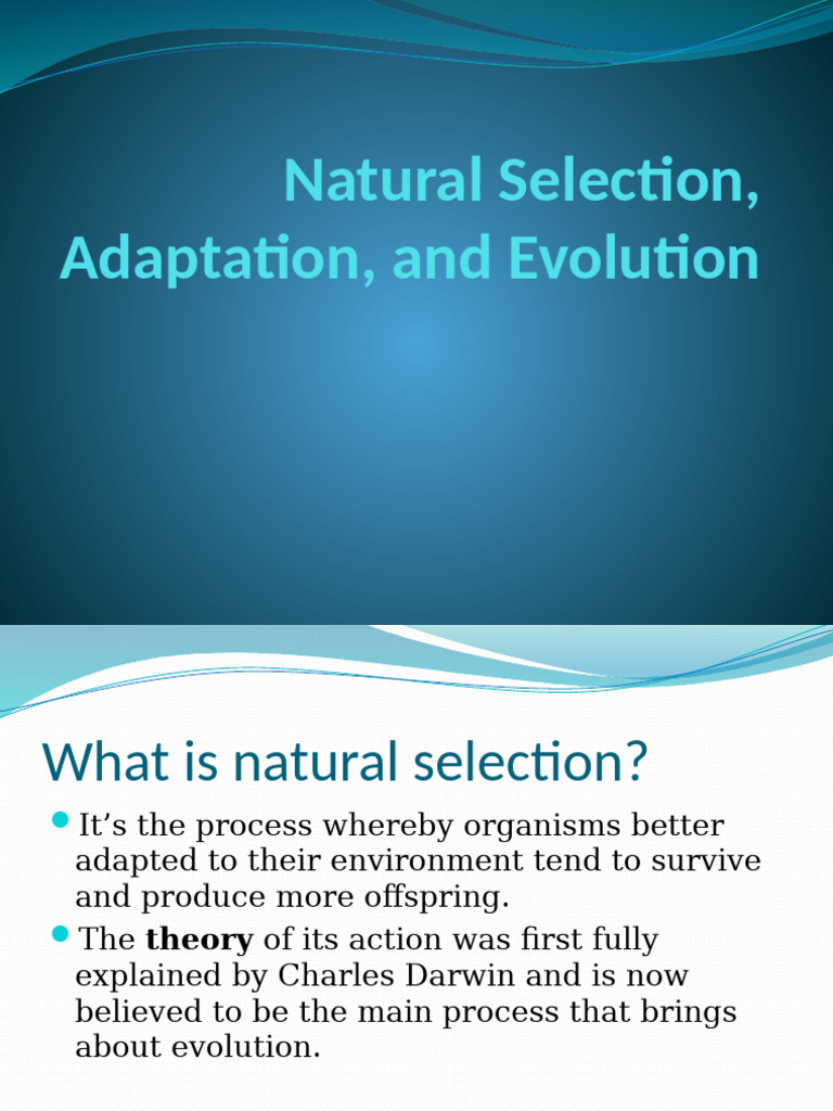 Natural Selection Adaptation and Evolution | PDF | Natural Selection ...