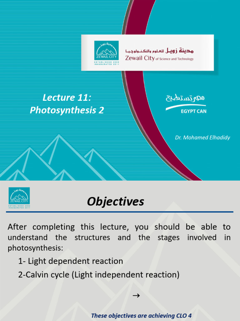 BIO 101 Lecture 11 Photosynthesis 2 Elhadidy | PDF | Chlorophyll ...