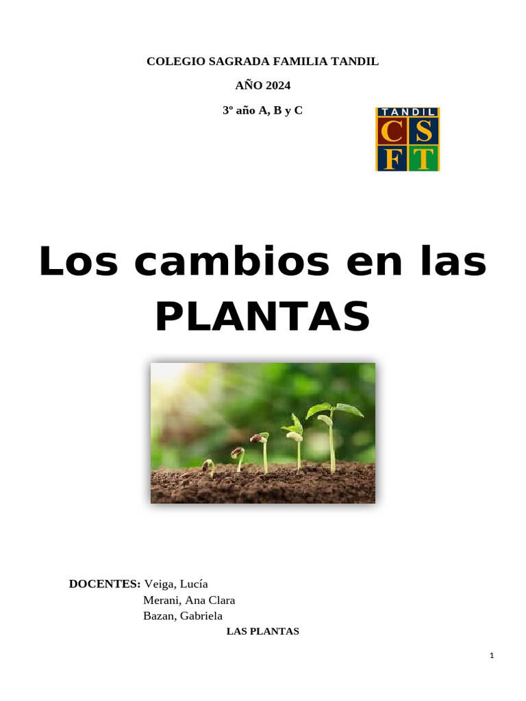 Cambios en Las Plantas Secuencia Didactica | PDF | Plantas | Hoja