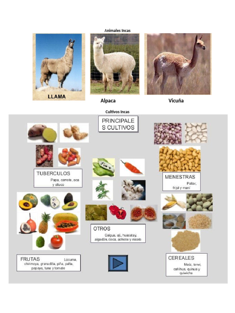 Animales Incas | PDF