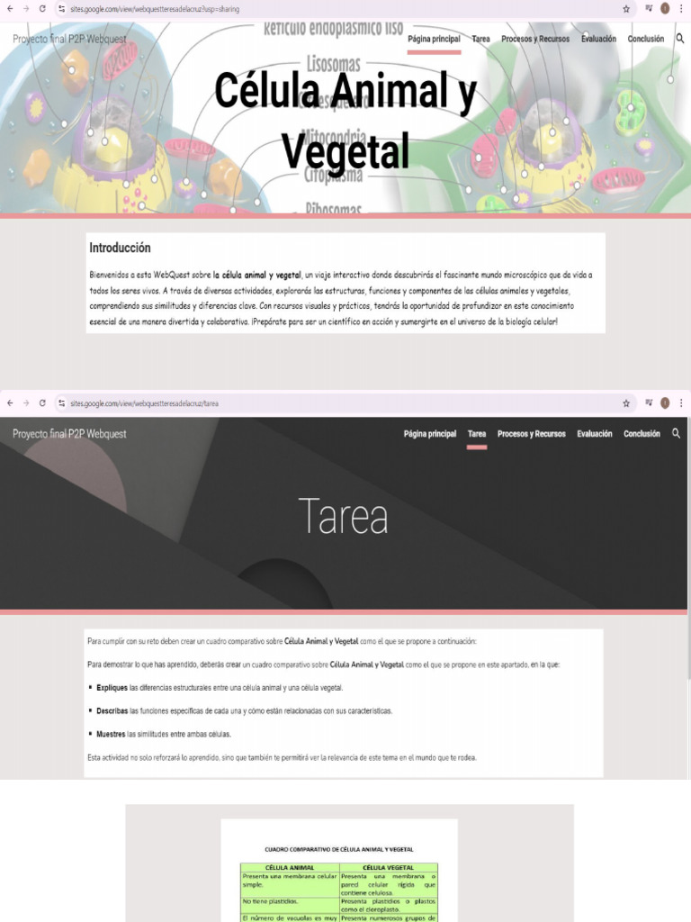 Producto Final | PDF