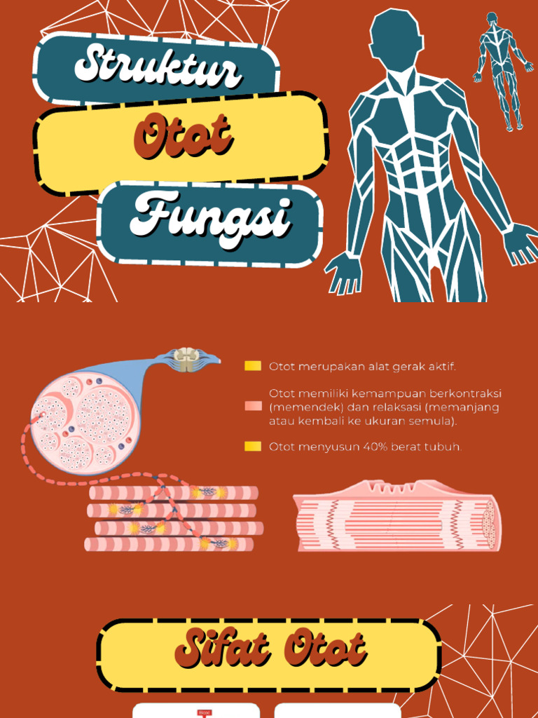 Sistem Gerak Otot Manusia | PDF