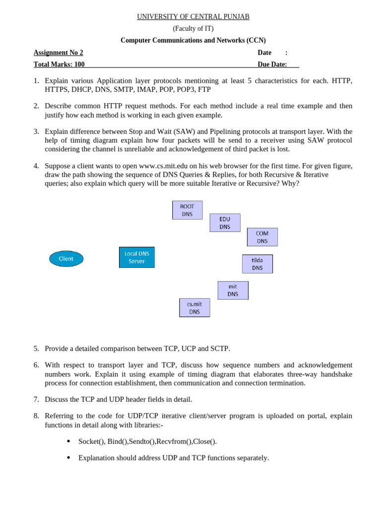 Assignment 02 CCN F - 2024 | PDF | Transmission Control Protocol | Domain Name System
