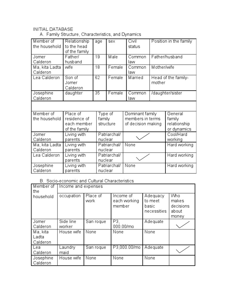 Initial Data Base For Family Nursing Practice | PDF | Waste Management ...