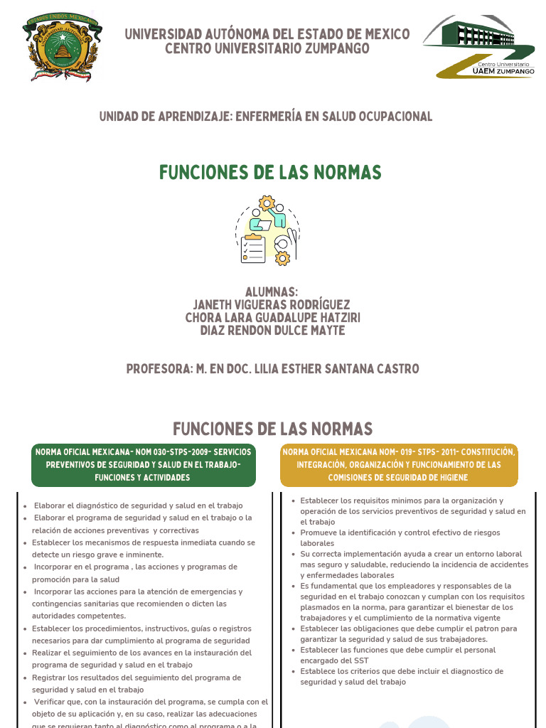 Funciones de Las Normas | PDF | Seguridad y salud ocupacional