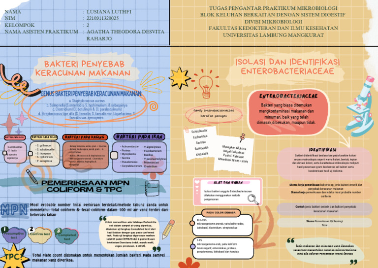 Mindmap Mikrobio Kel Diges | PDF