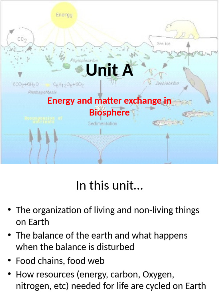 1.1 - Equilibrium in The Biosphere | PDF | Ecosystem | Ecology
