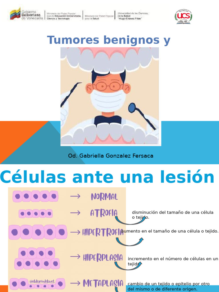 Clase Tumores | PDF | Cáncer | Neoplasias