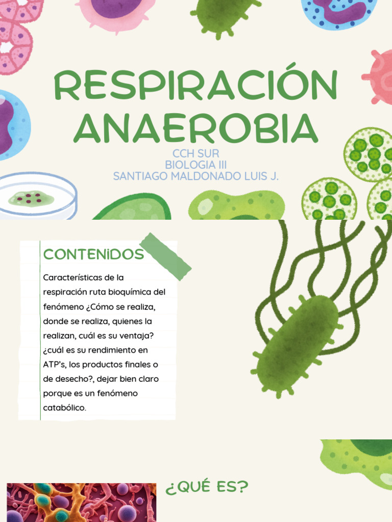 Presentación Diapositivas Respiración Anaerobia | PDF | Respiración ...