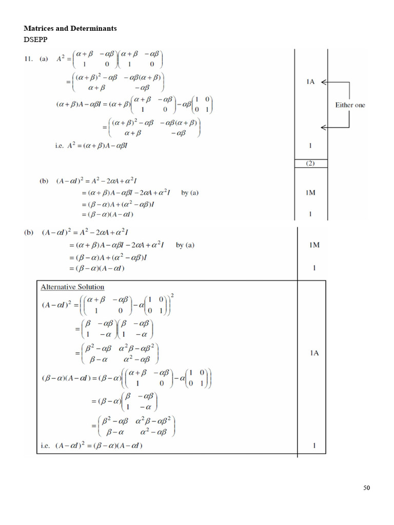 DSE Matrices and Determinants Solutions | PDF