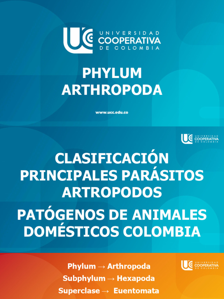 Parasitos | PDF | Parasitismo | Insectos