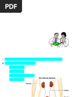 Urology Medical Terminology | PDF | Urinary System | Kidney
