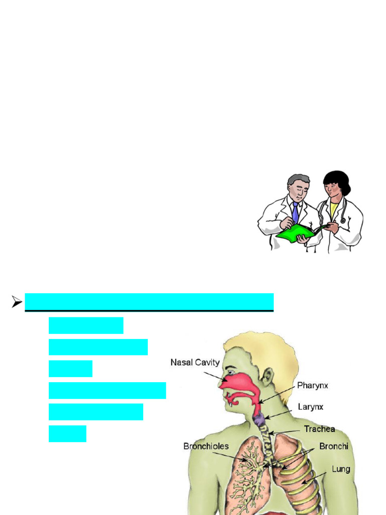 lec 8 - Respiratory System 2 | PDF | Lung | Respiratory Tract lec 8 - Respiratory System 2 | PDF | Lung | Respiratory Tract
