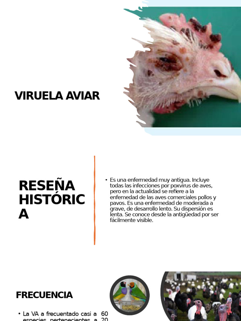 Viruela Aviar | PDF | Epidemiología | Especialidades Medicas