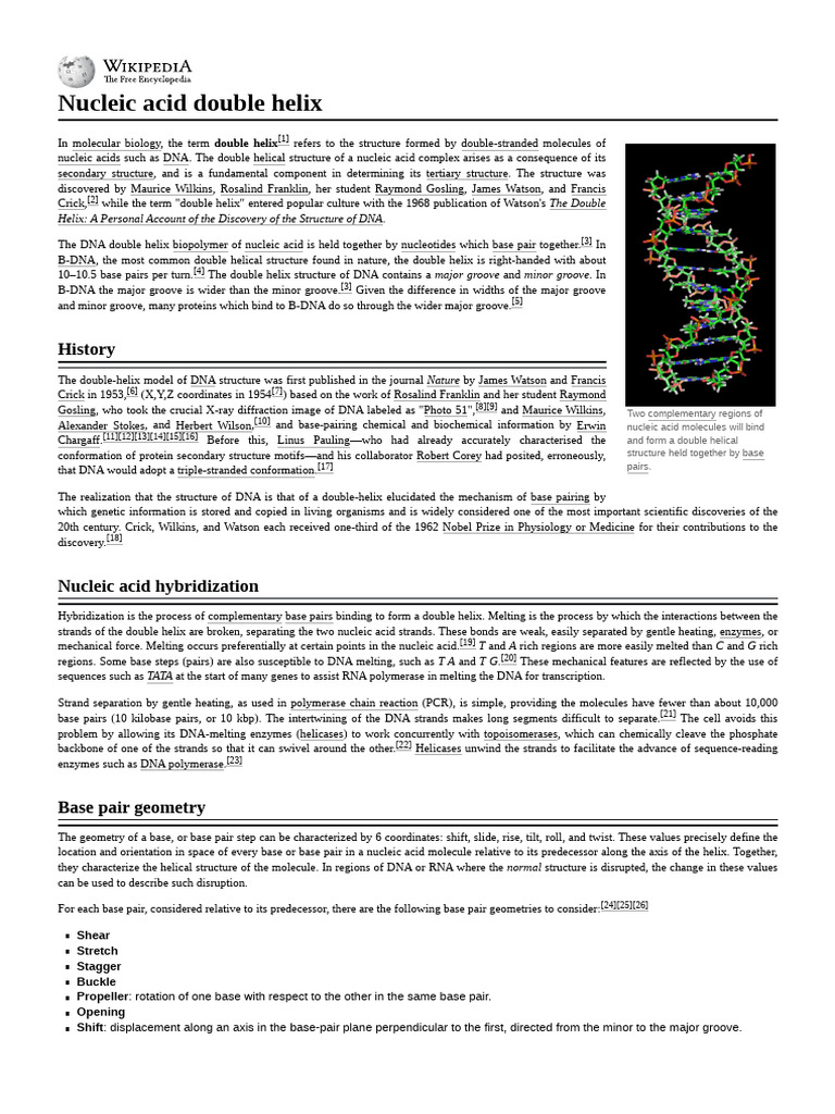 Nucleic Acid Double Helix | PDF | Nucleic Acid Double Helix | Dna