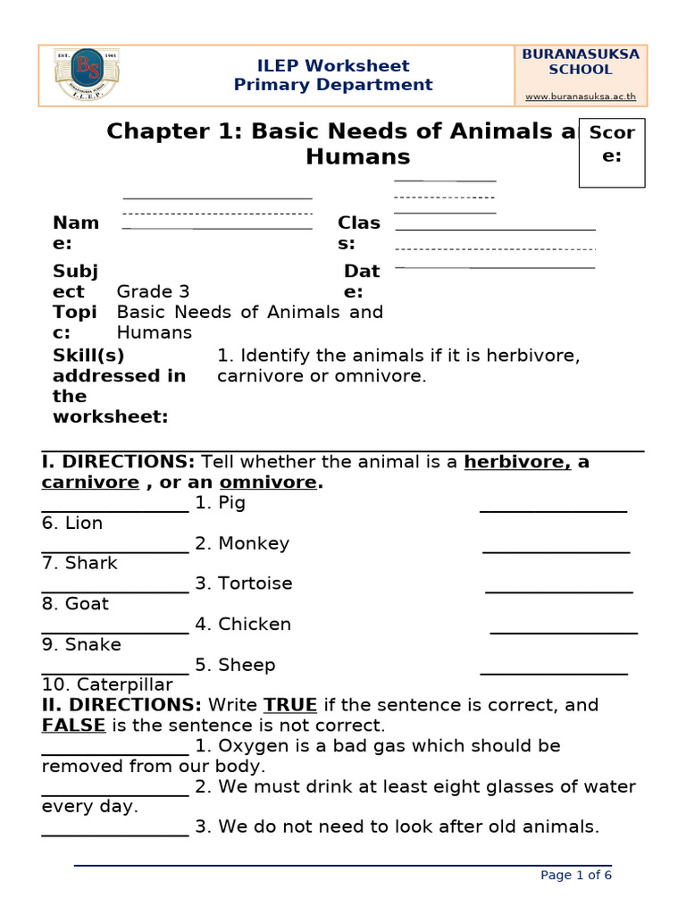 p3 Midterm Worksheet | PDF | Adults | Adolescence