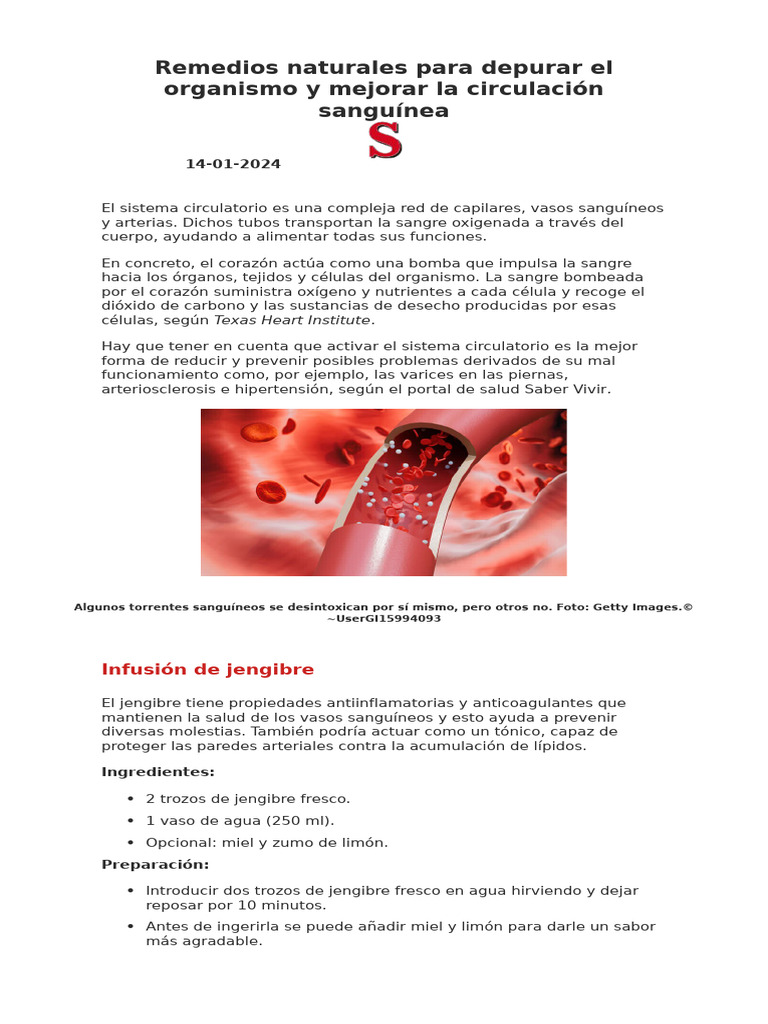 Remedios Naturales para Depurar El Organismo y Mejorar La Circulaci - N Sangu - Nea | PDF ...