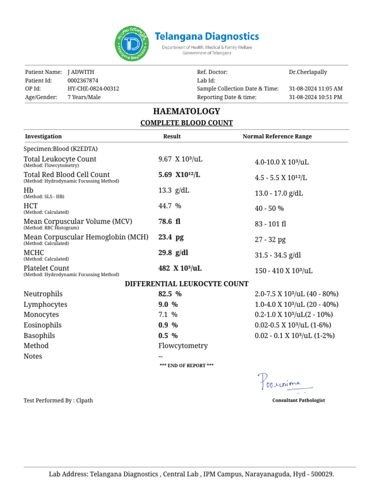 Complete Blood Count & Typhoid Test Results | PDF | White Blood Cell ...