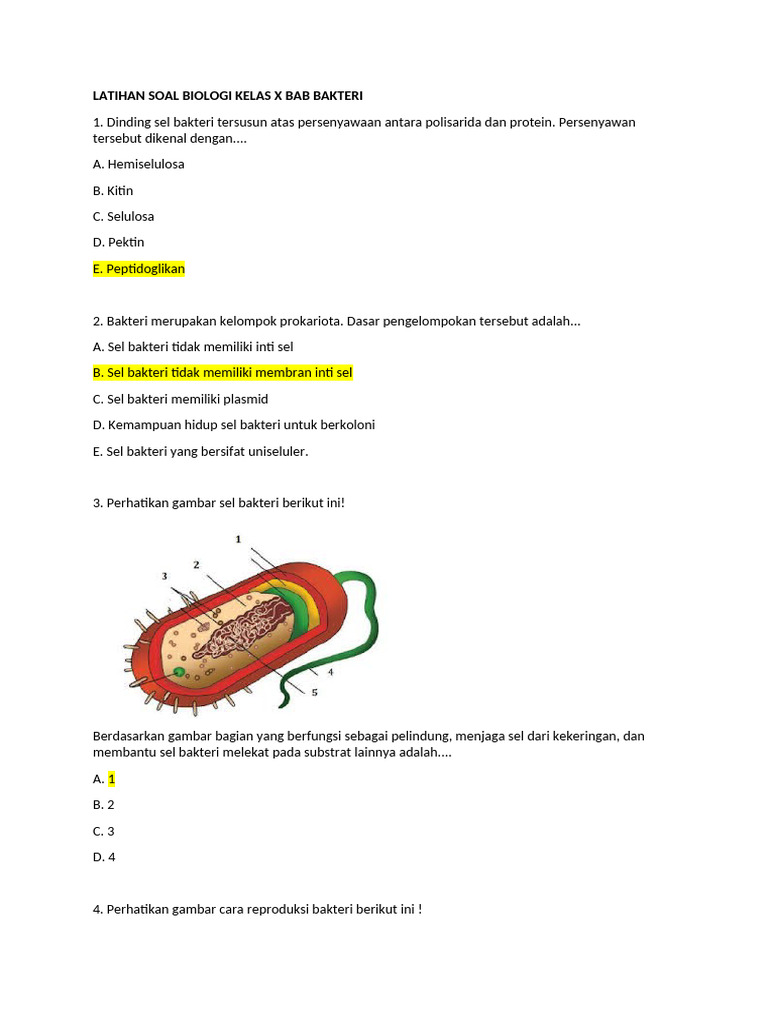 Latihan Soal Biologi Kelas X Bab Bakteri | PDF