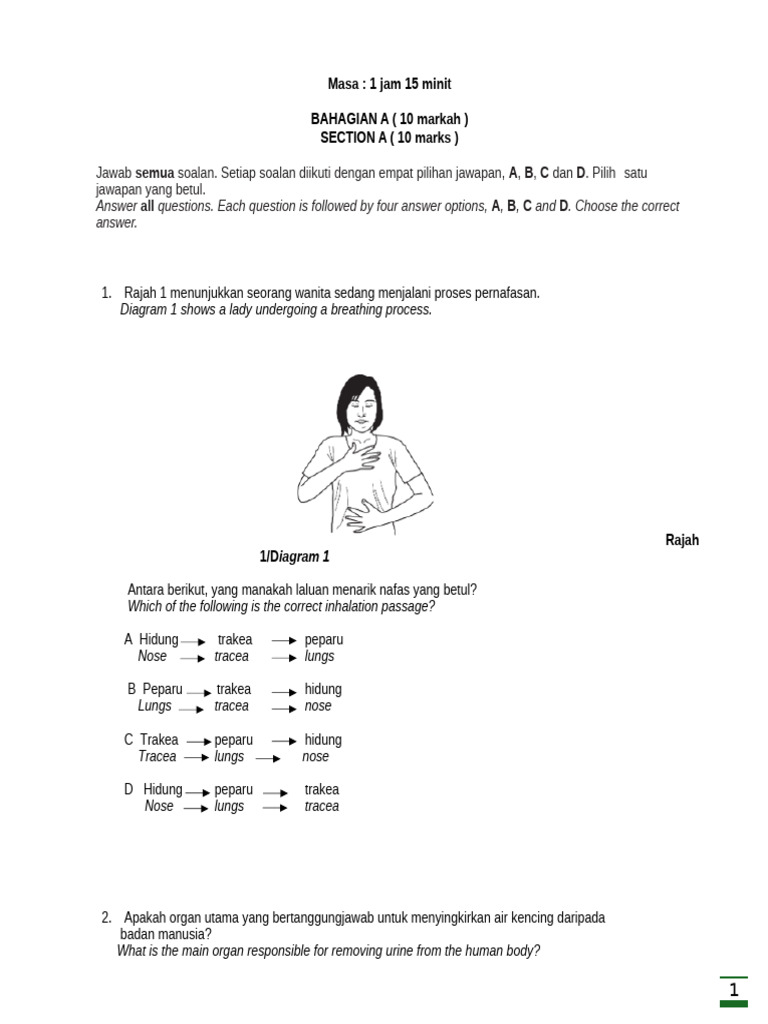 Uasa Science Year 4 2024 | PDF
