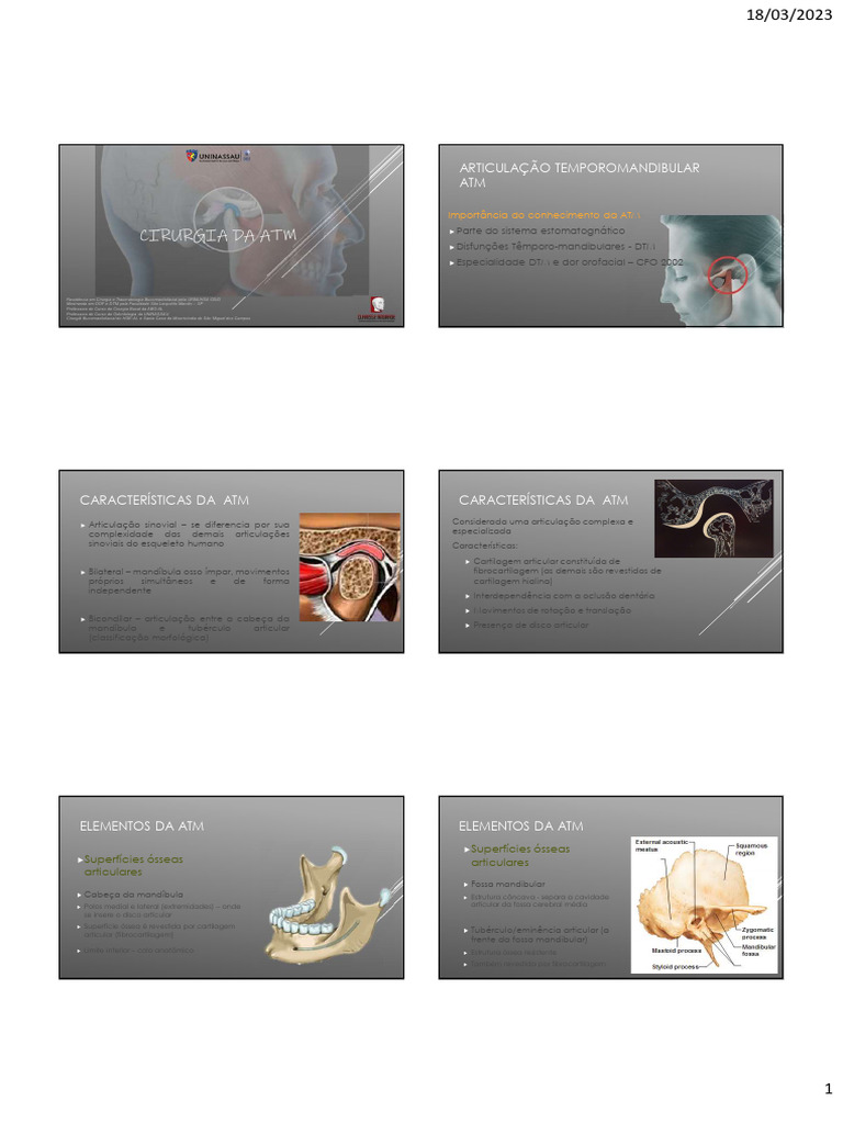 Aula 04 - Cirurgia Da Atm Prof Clarisse | PDF | Osteoartrite | Sistema ...