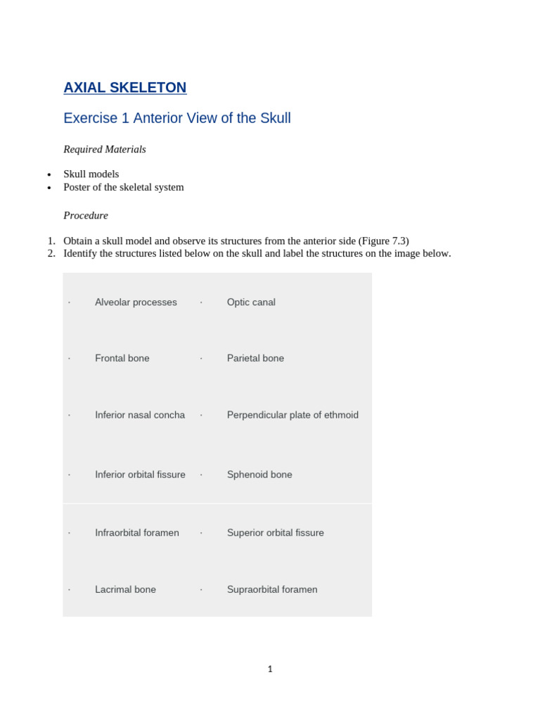 Chapter 7, 8, and 9 Excercises | PDF | Pelvis | Skull