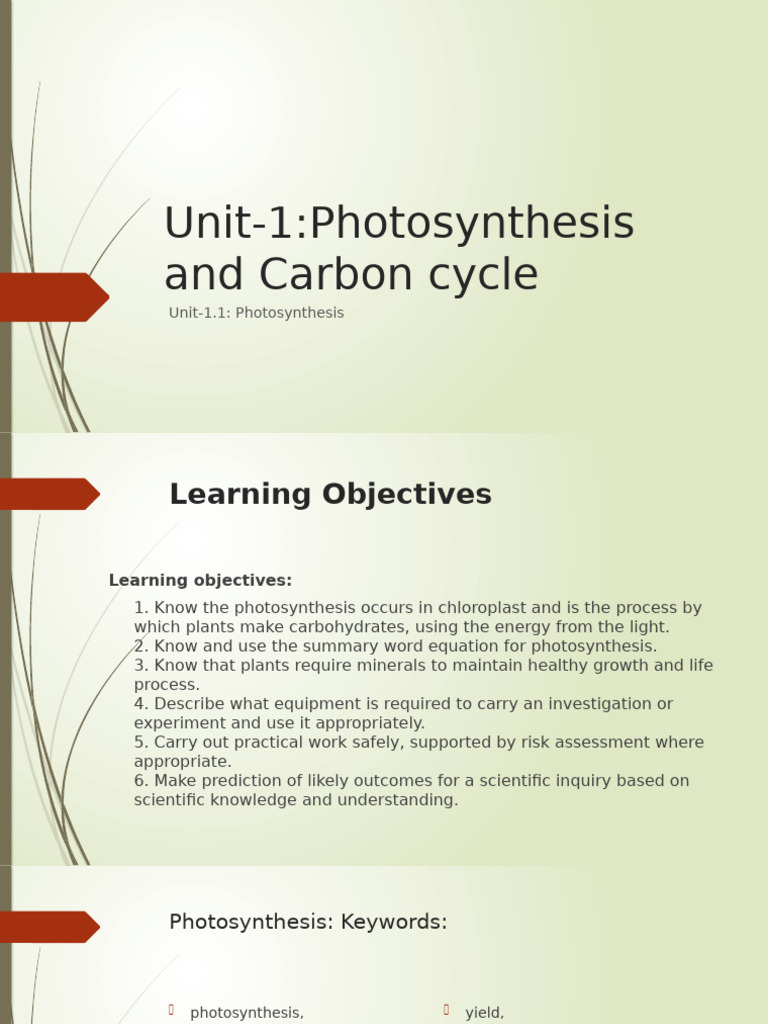 Unit-1 Photosynthesis | PDF | Leaf | Stoma