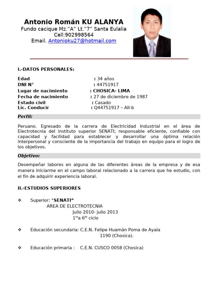 Antonio Román KU ALANYA cv-1-1 | PDF | Perú | Ingeniería