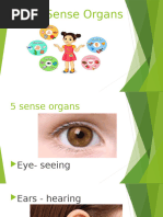 Sense Organs Worksheets for Kids | PDF