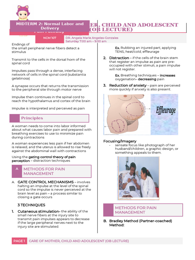 midterm | PDF | Childbirth | Skull