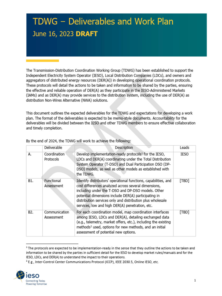 TDWG 20230616 Deliverables and Workplan | PDF | Computing