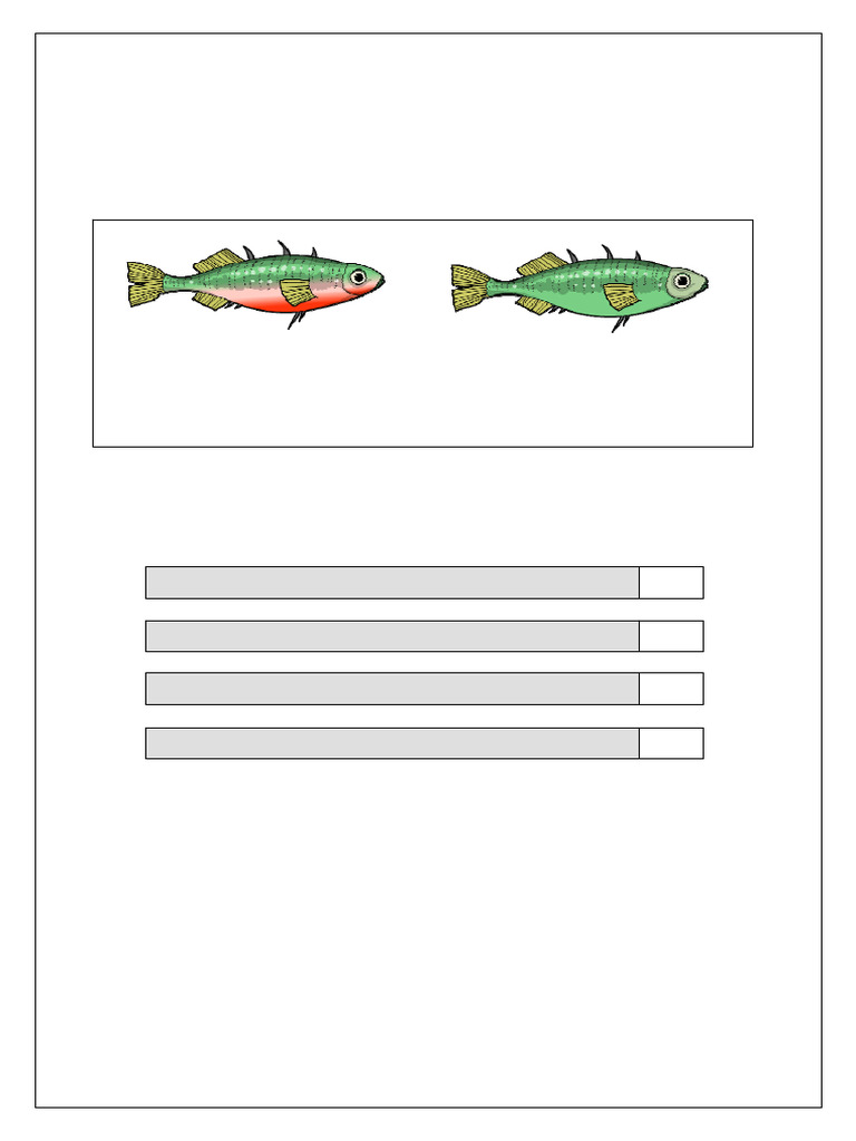 Stickleback Behavior Worksheet | PDF | Ethology | Cognitive Science