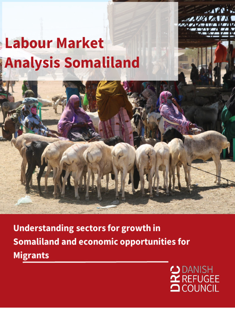Somaliland Labour Market Insights | PDF | Somalia | Employment