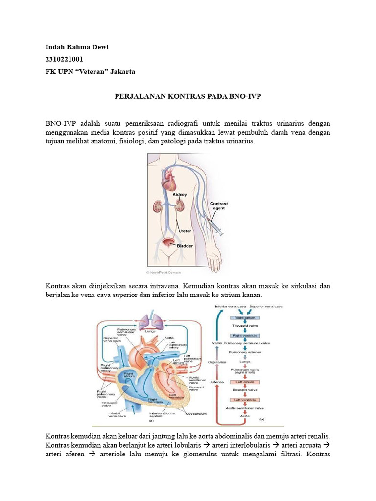 Perjalanan Kontras pada BNO-IVP | PDF