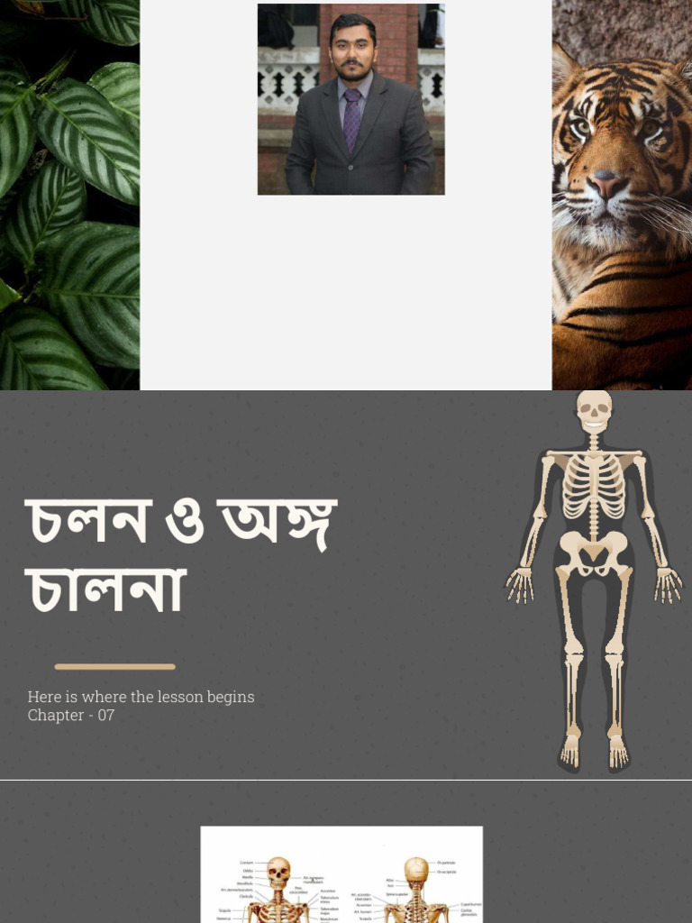Bones PDF | PDF