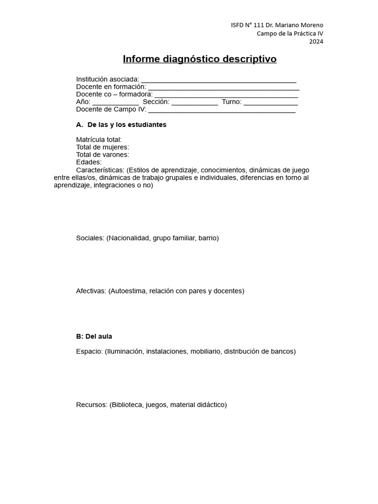 Informe Diagnóstico Descriptivo | PDF