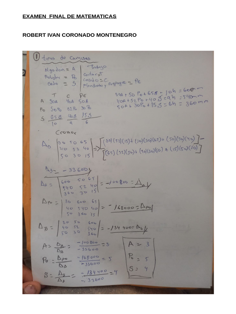 Examen Final de Matematicas | PDF