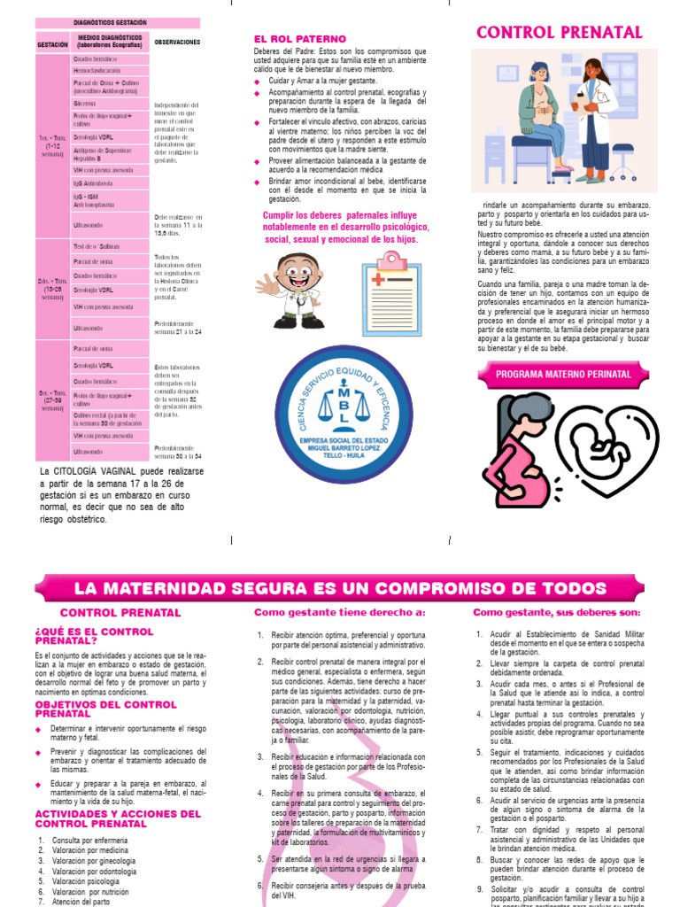 Folleto Control Prenatal Maternidad | PDF | El embarazo | Parto