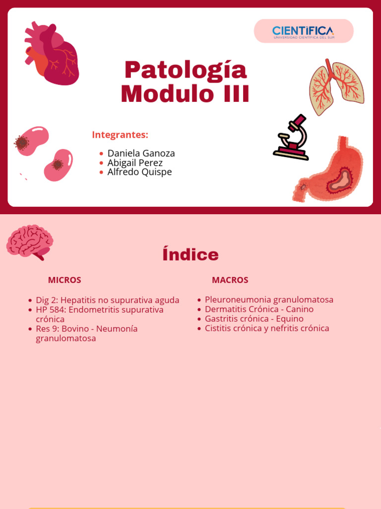 Modulo III Pato | PDF | Inflamación | Piel