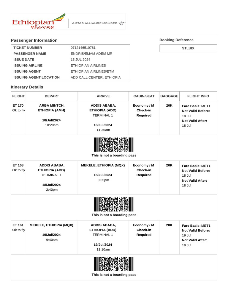 Electronic Ticket Receipt, July 18 For MR EMAM ADEM ENDRIS | PDF | Aviation