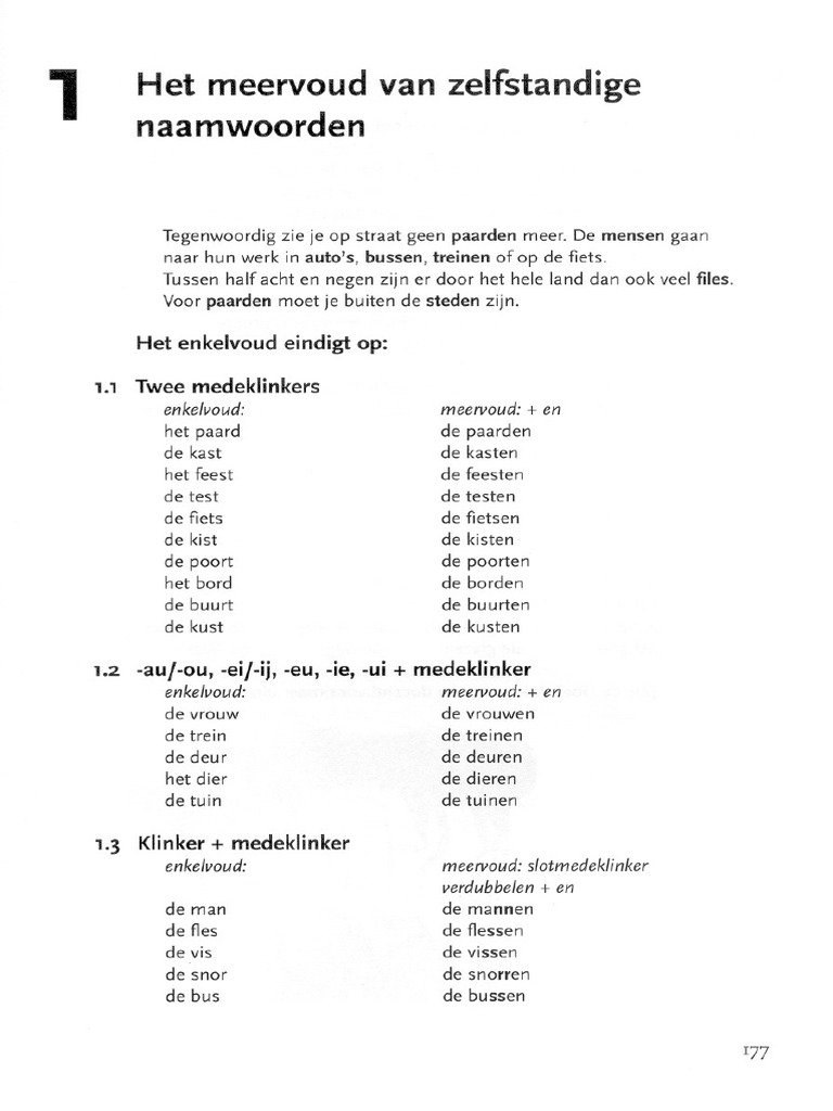 Het Meervoud Van Zelfstandige Naamwoorden | PDF