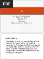 Endophytic vs Exophytic Tumors Explained | PDF