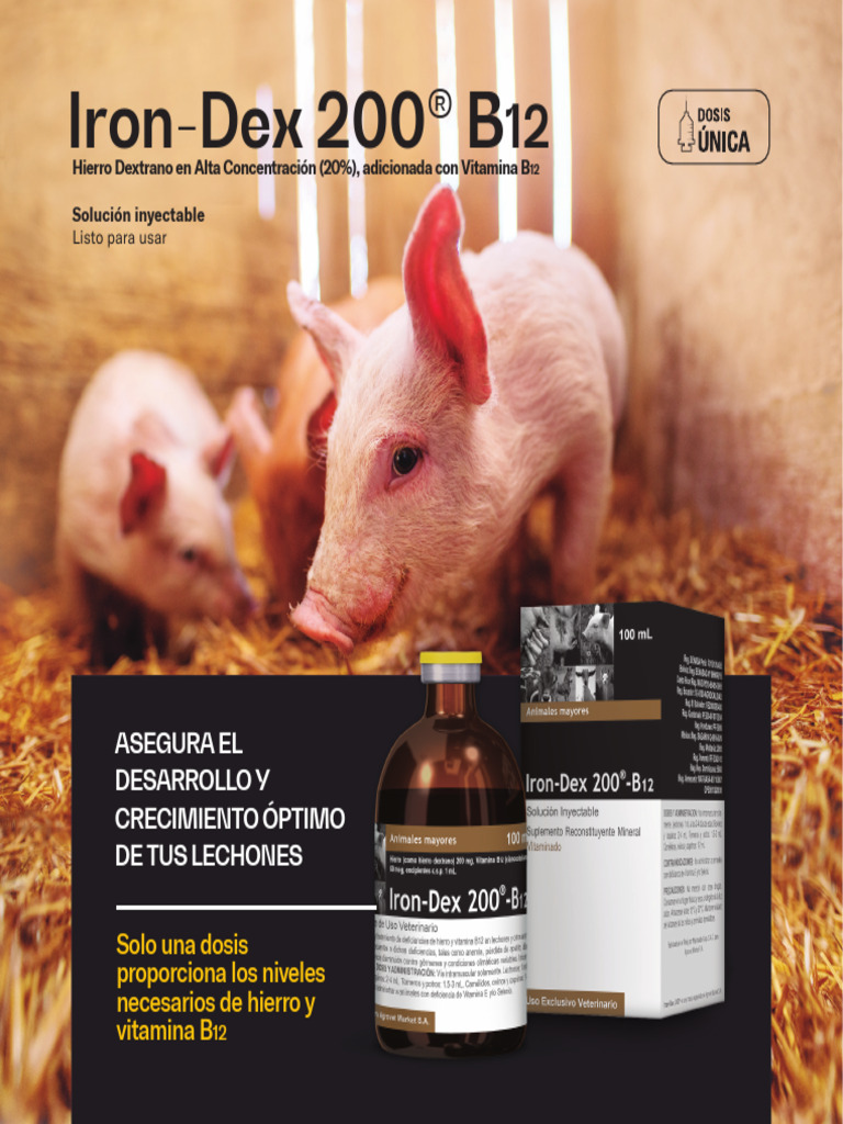 Folleto - Iron Dex Nuevo | PDF