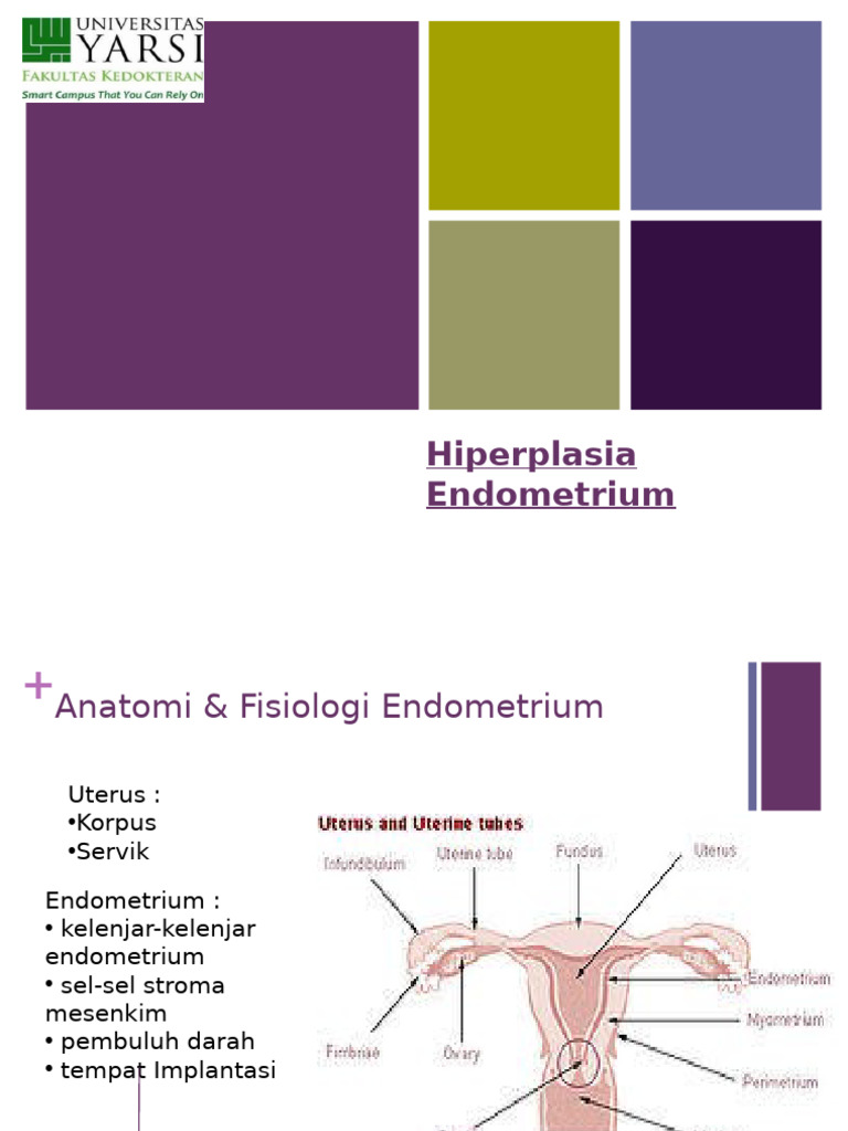Hiperplasia Endometrium: Gejala, Diagnosis, dan Terapi | PDF
