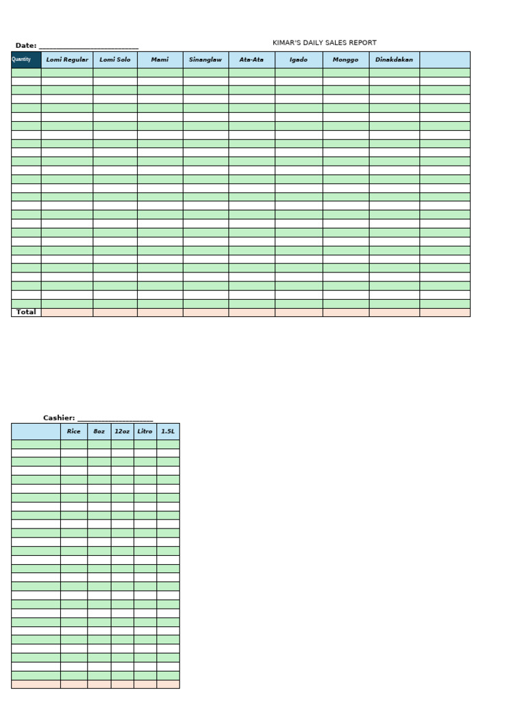 Daily Sales Reort | PDF